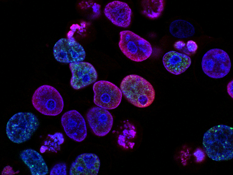 Bio-based chemicals for oilfield applications - Solugen | Solugen