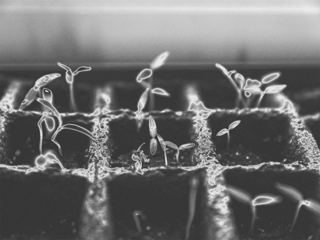 Bio-based chemicals for agriculture - Solugen | Solugen